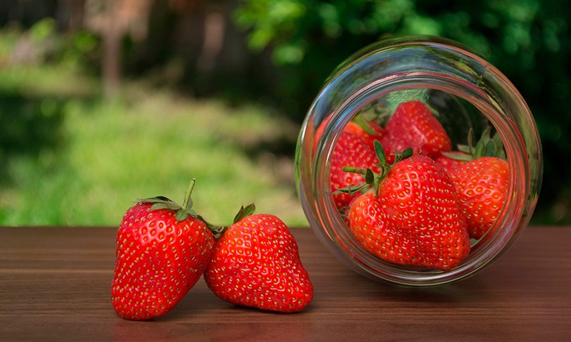 ¿la Diferencia Entre Las Fresas Y Los Fresones La Española Aceites